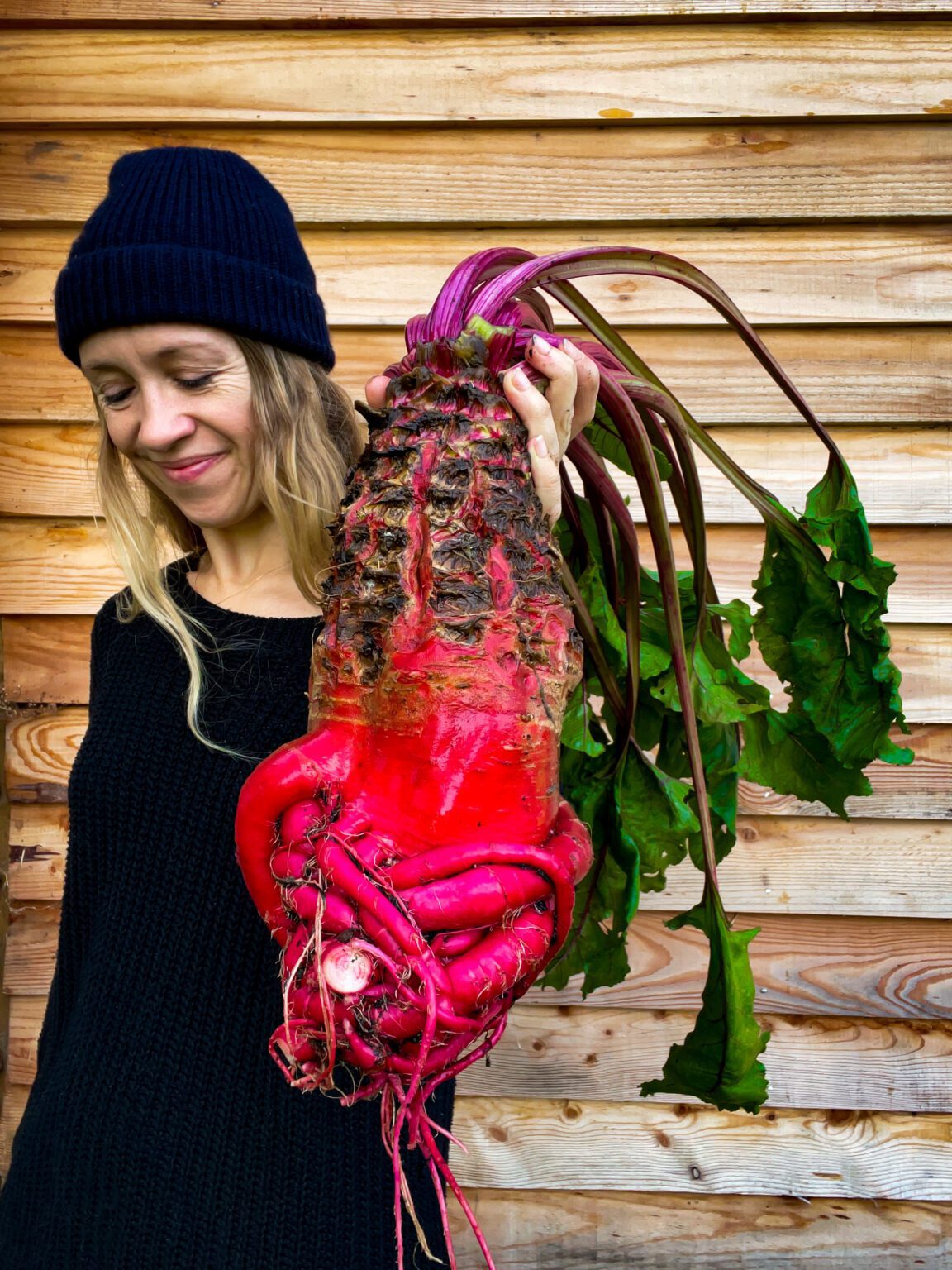 Buy Mangelwurzel Mammoth Red Seeds | She Grows Veg