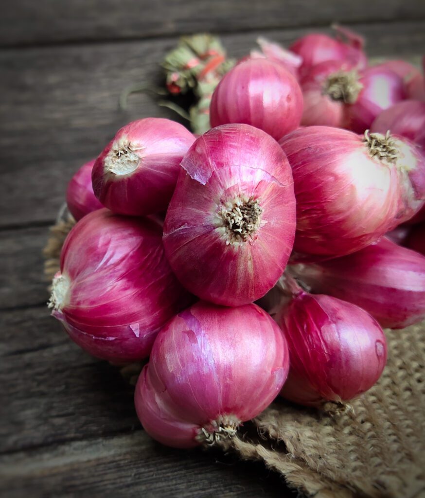 How to Sow and Grow Onions | She Grows Veg