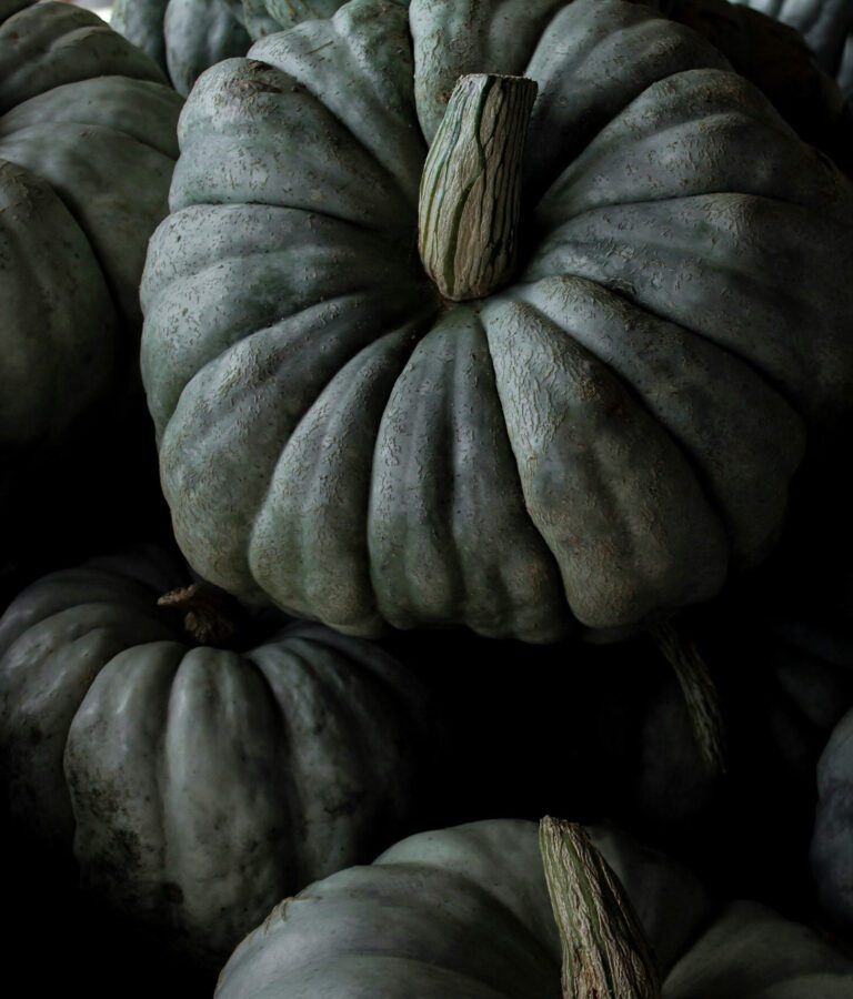 Buy Pumpkin Queensland Blue Seeds | She Grows Veg