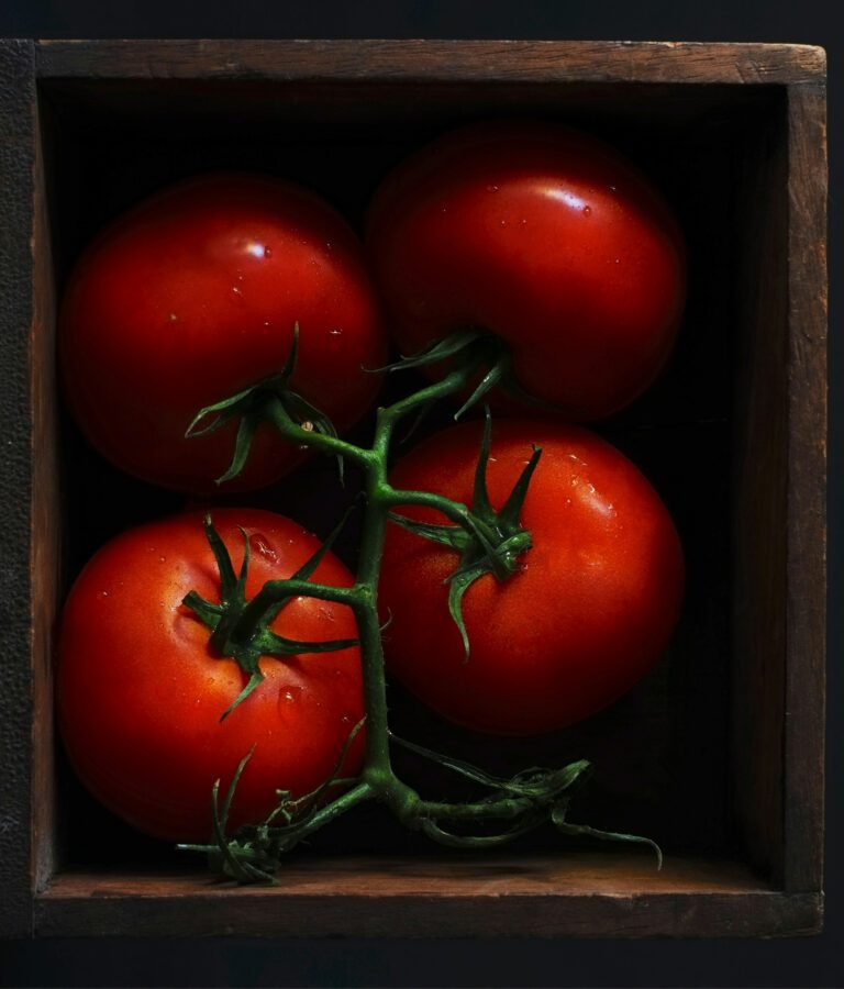 Buy Tomato Heinz 1350 Seeds | She Grows Veg