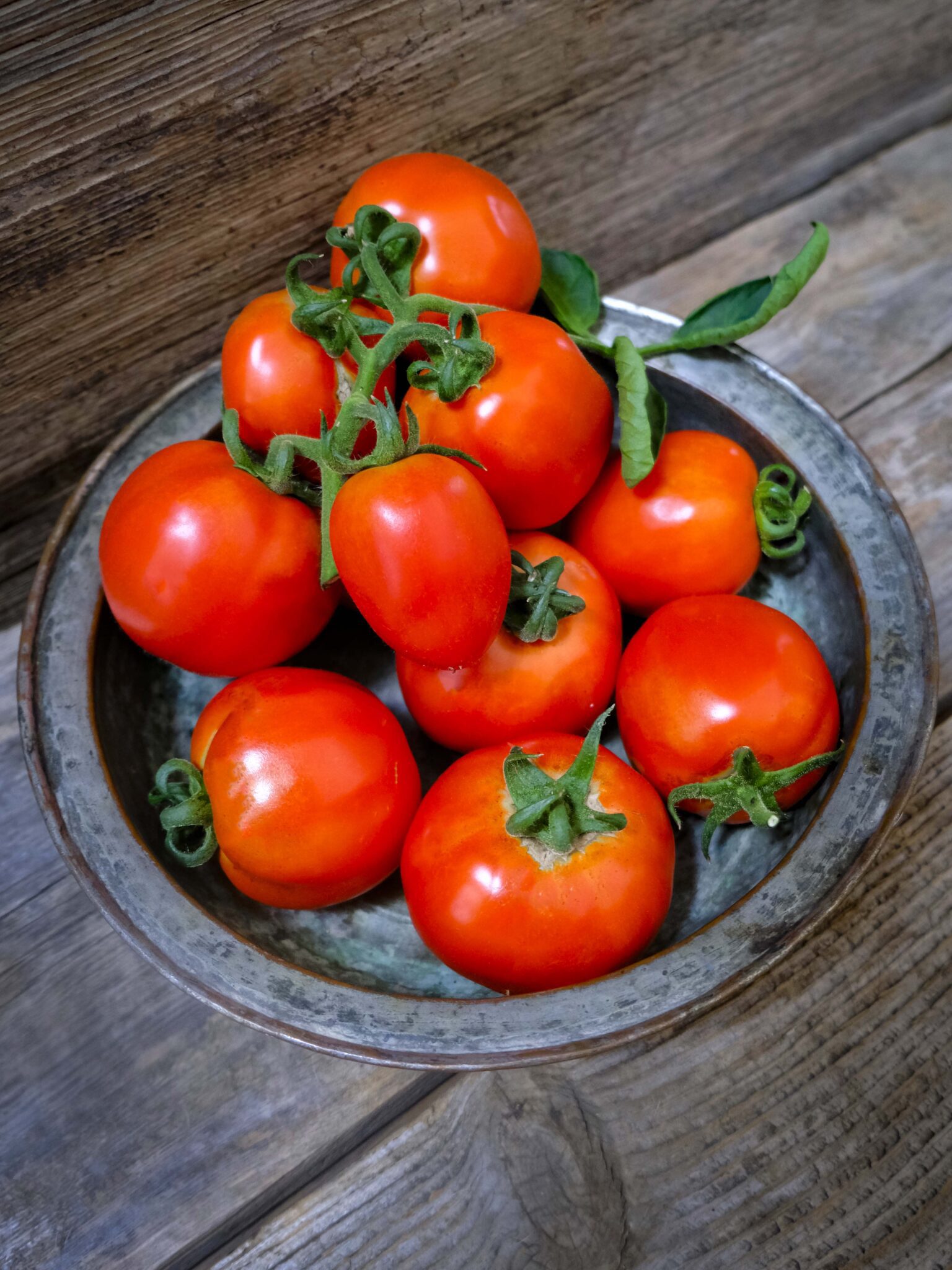 Buy Tomato Heinz 1350 Seeds | She Grows Veg