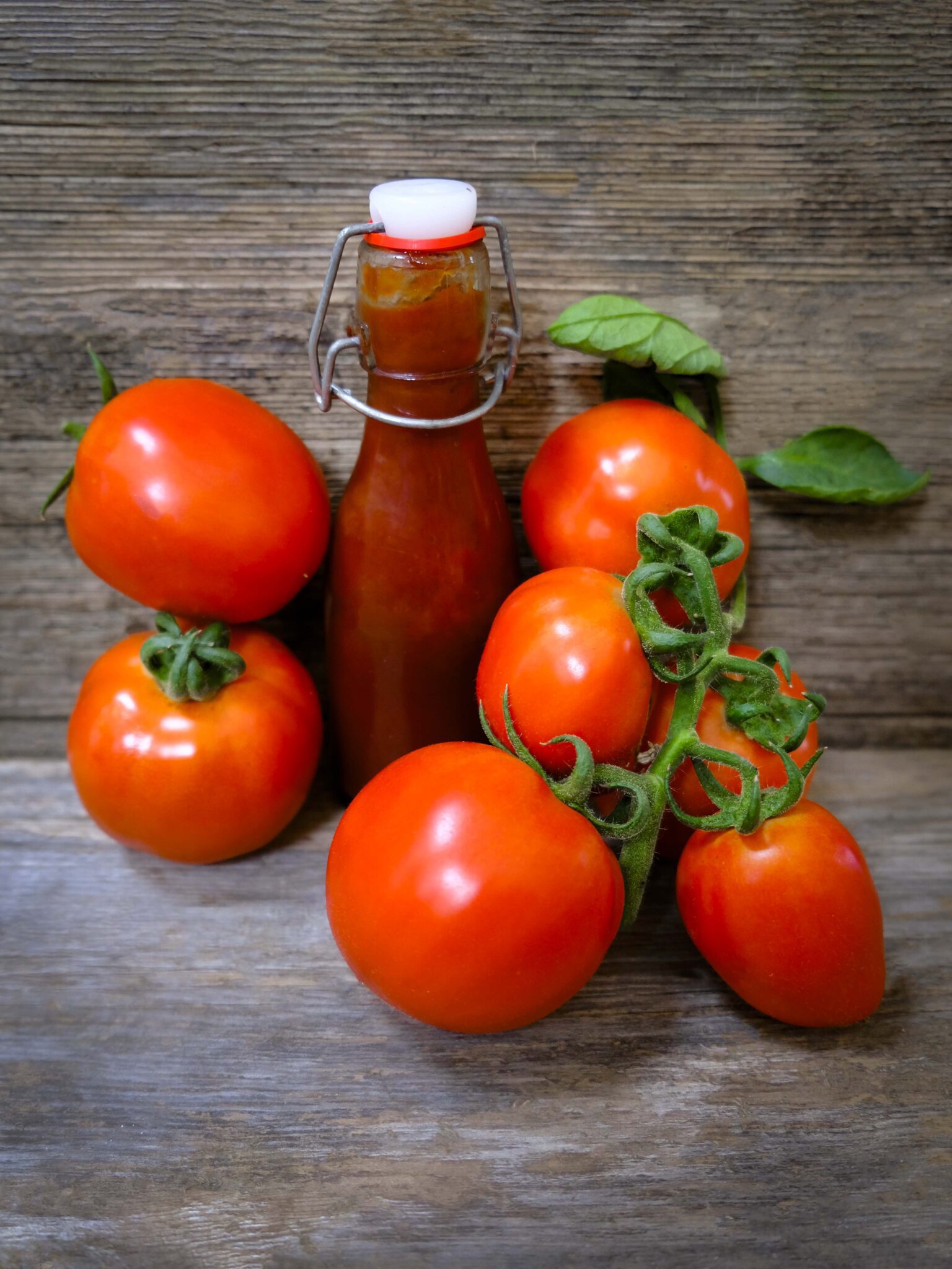 Buy Tomato Heinz 1350 Seeds | She Grows Veg