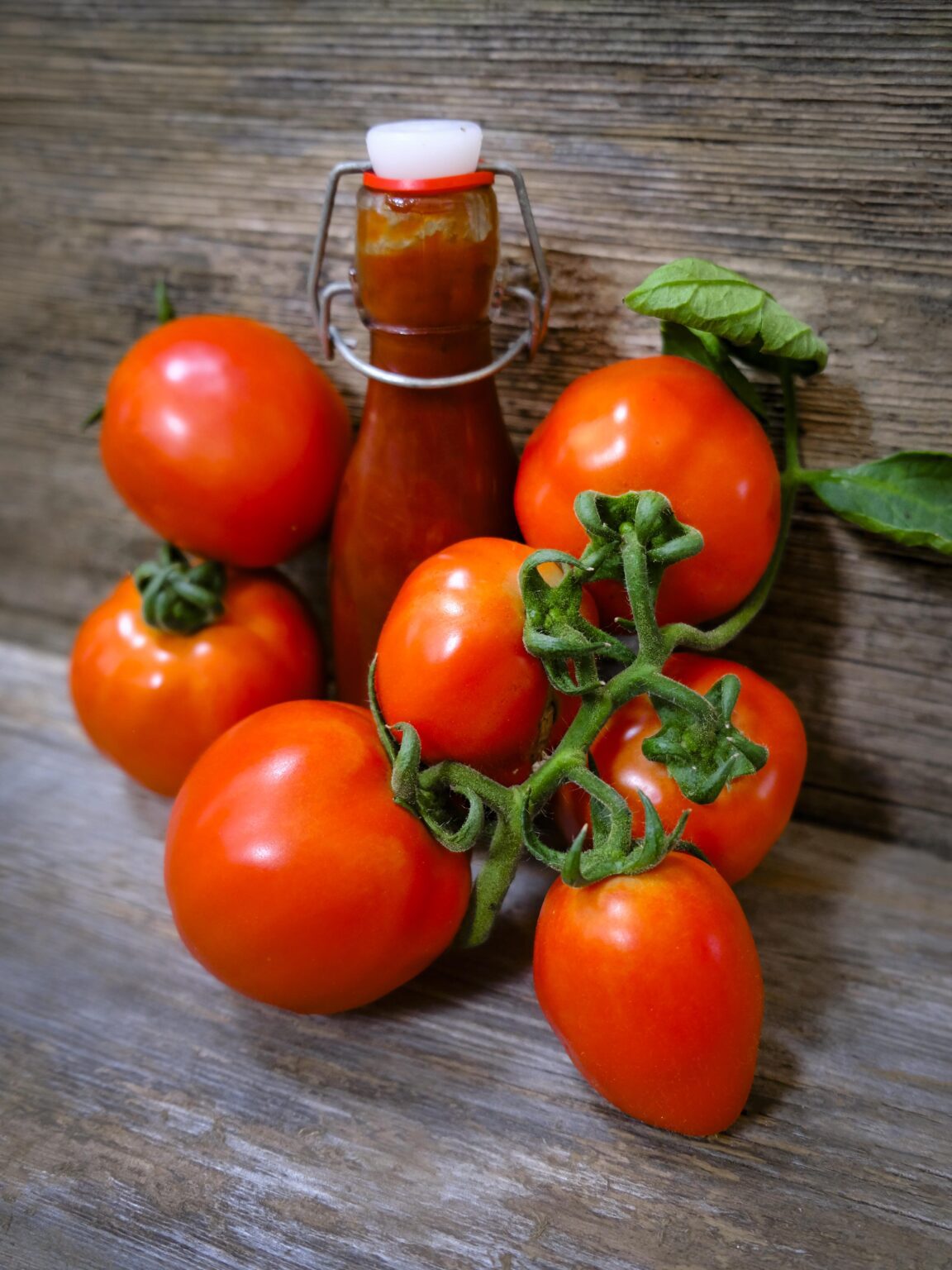 Buy Tomato Heinz 1350 Seeds | She Grows Veg