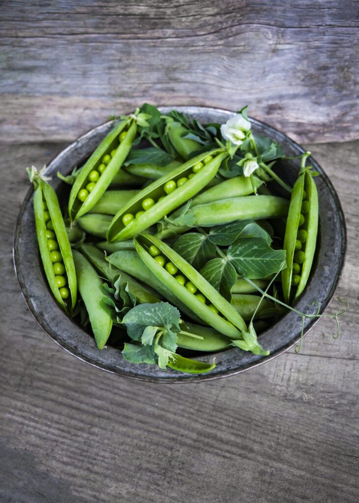 Buy Pea Telephone Seeds | She Grows Veg