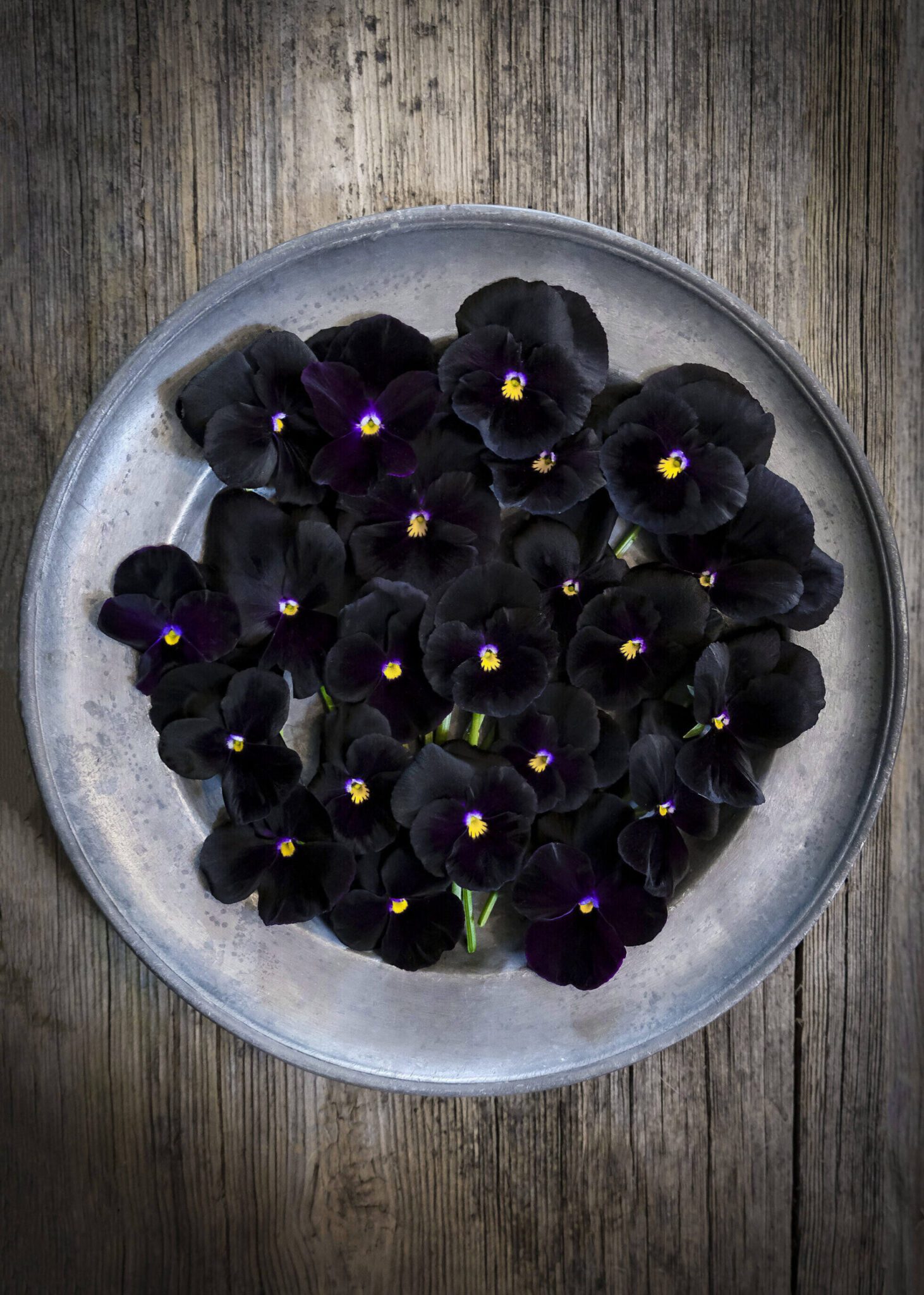Buy Edible Flower Bundle (with gift bag) Seeds | She Grows Veg