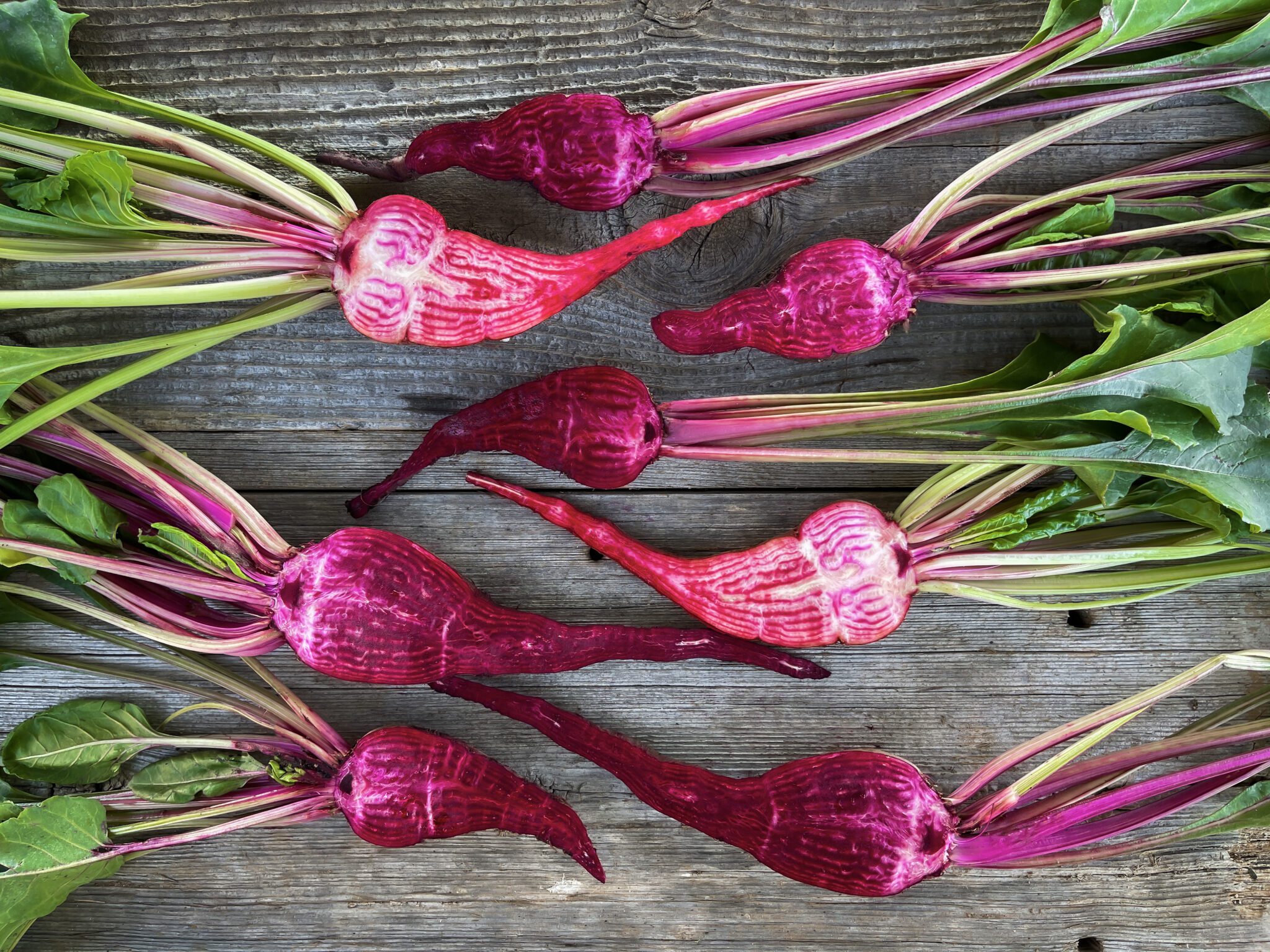 Why You Should Grow (and Eat!) More Pink and Red Veg | She Grows Veg