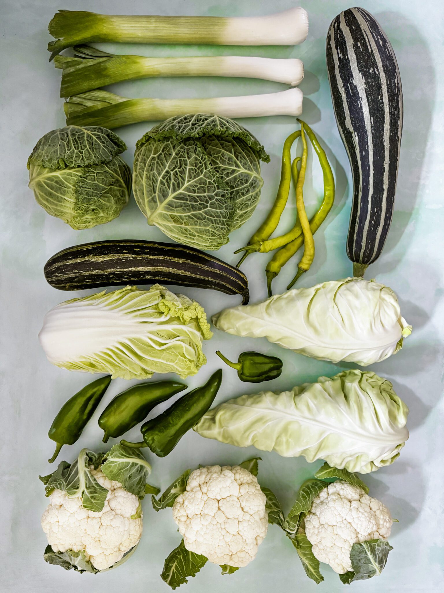 Health Benefits Of Each Colour Vegetable | She Grows Veg