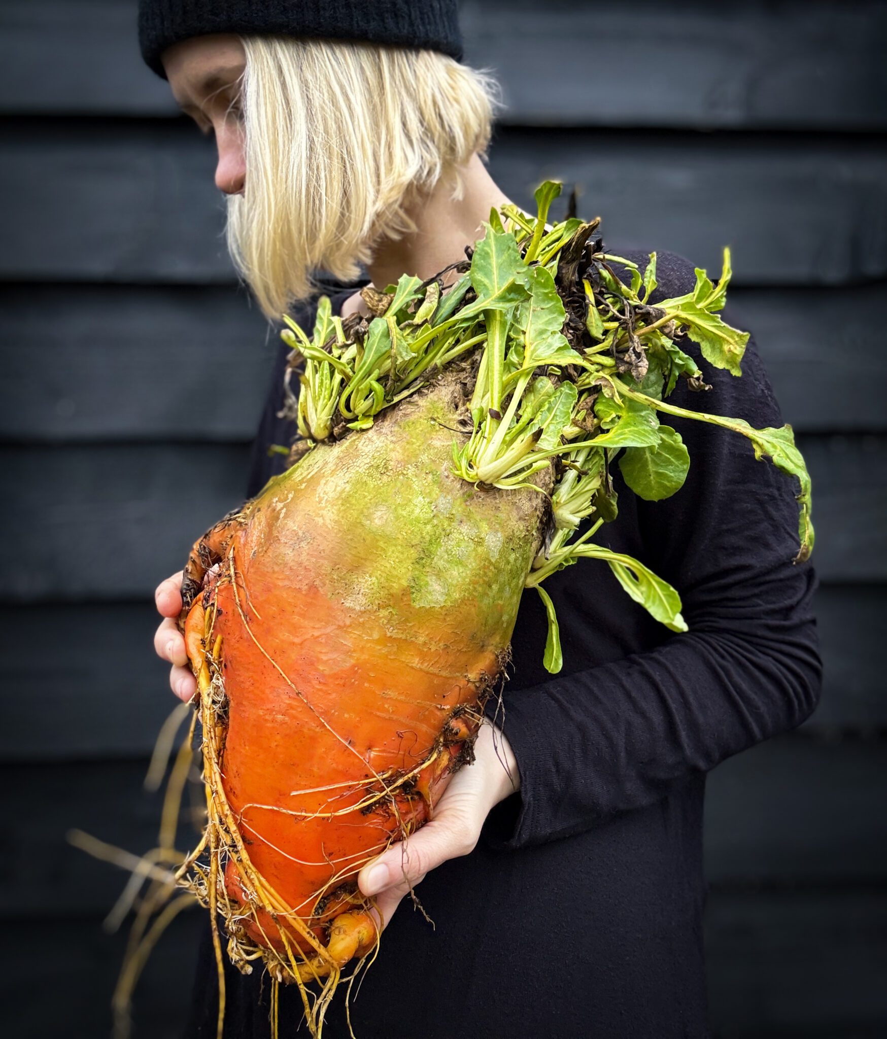 How to Sow and Grow Mangelwurzels | She Grows Veg