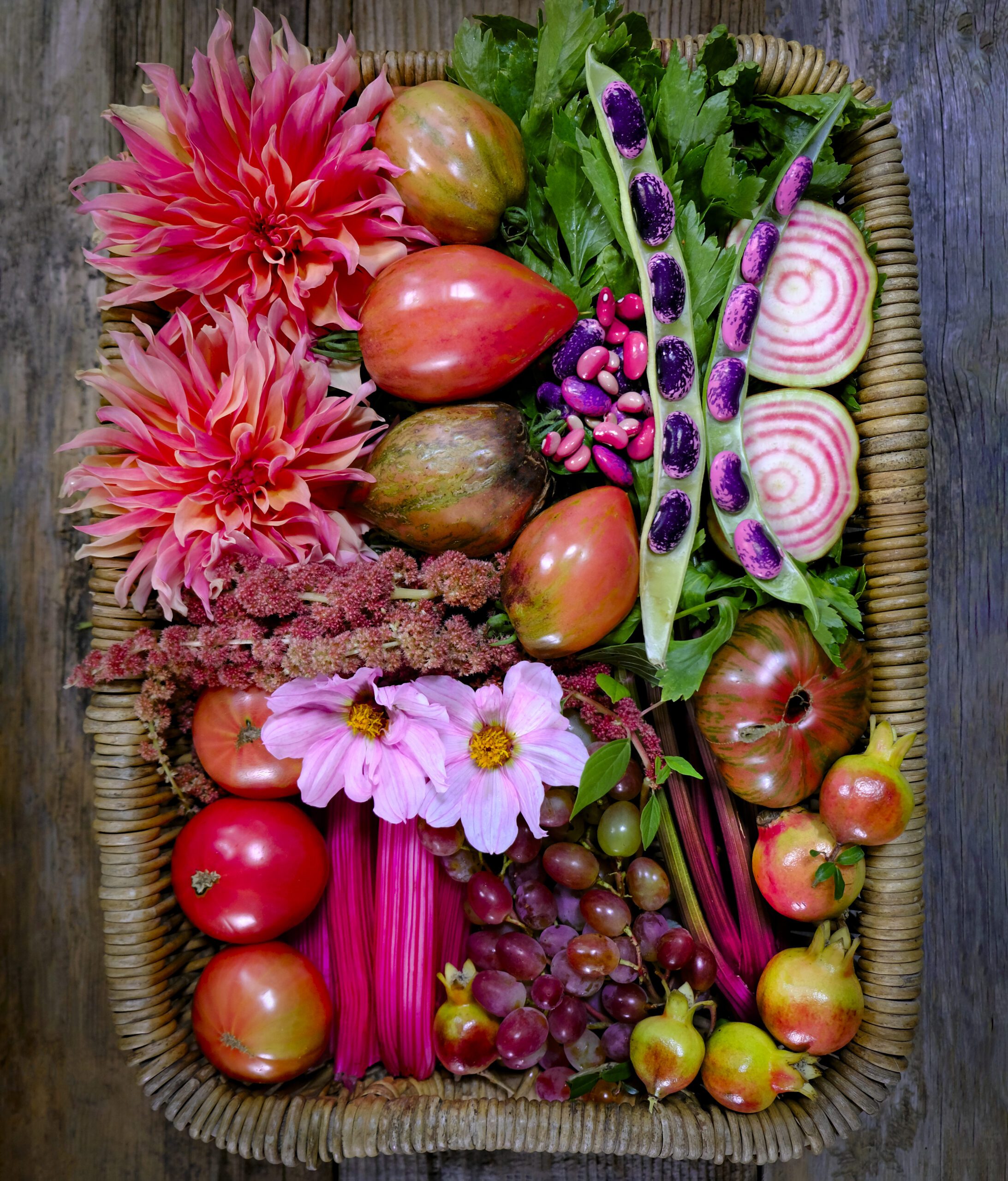Why You Should Grow (and Eat!) More Pink and Red Veg | She Grows Veg