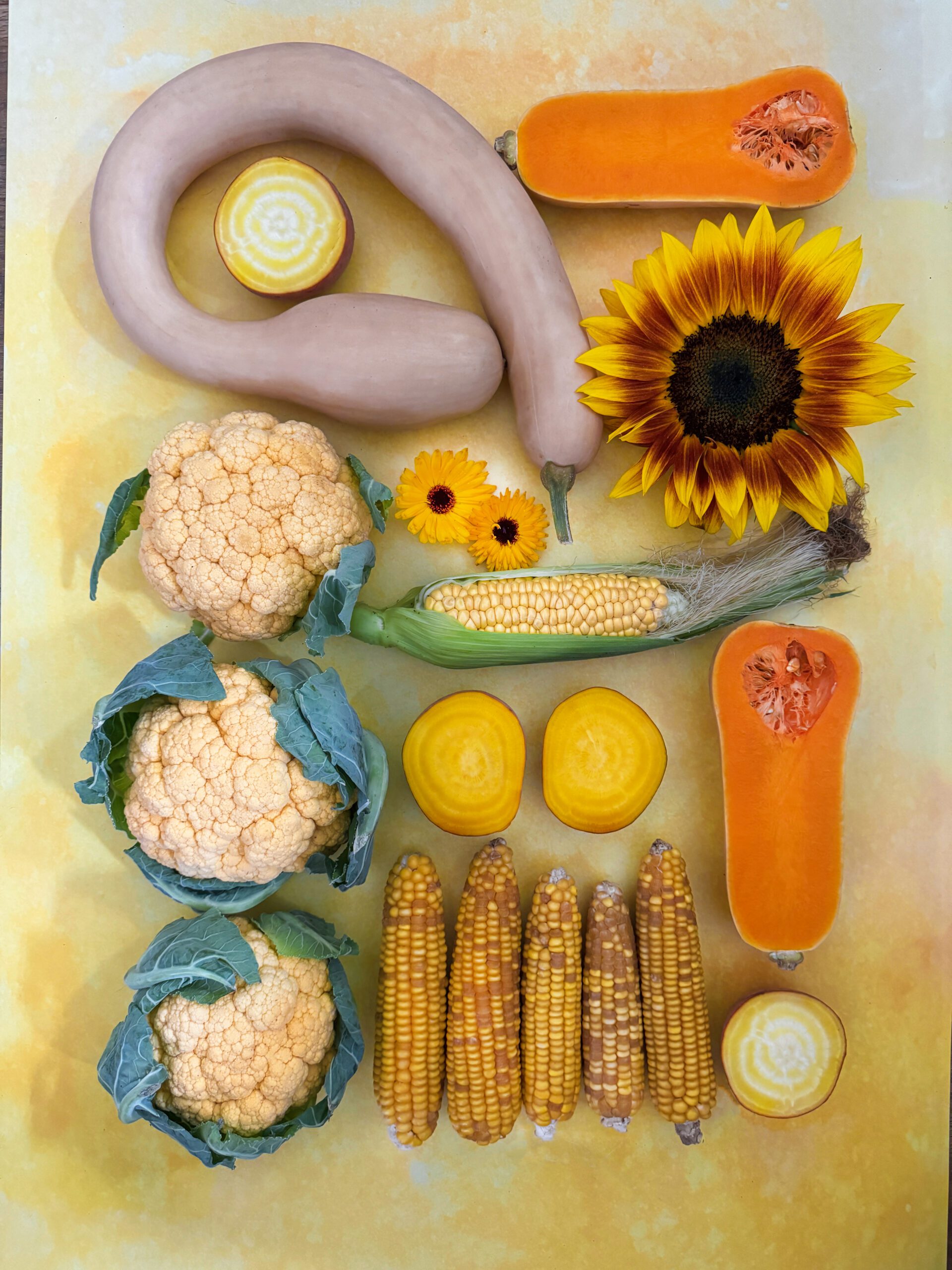 Health Benefits Of Each Colour Vegetable | She Grows Veg