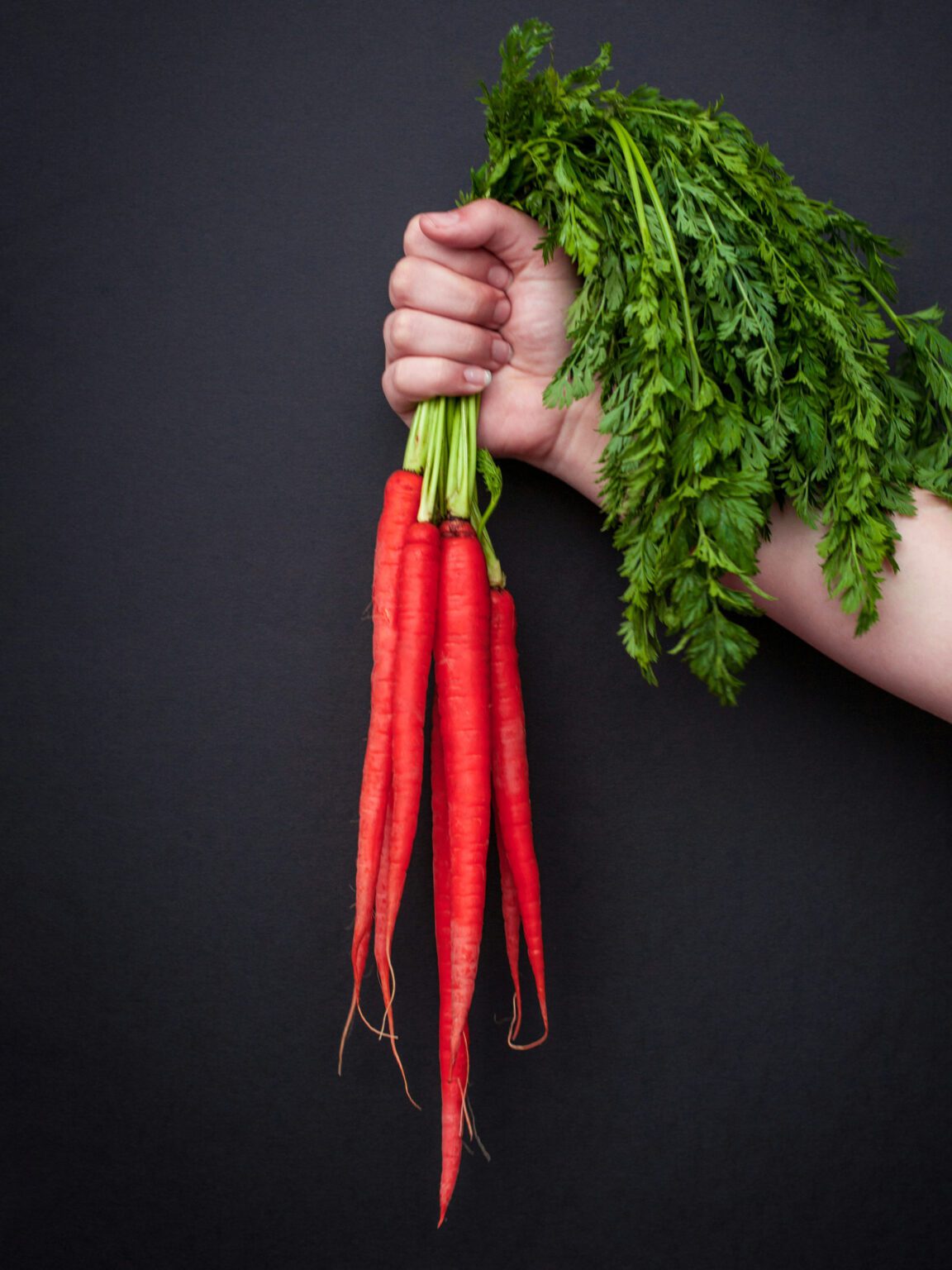 Buy Carrot Kyoto Red Seeds | She Grows Veg