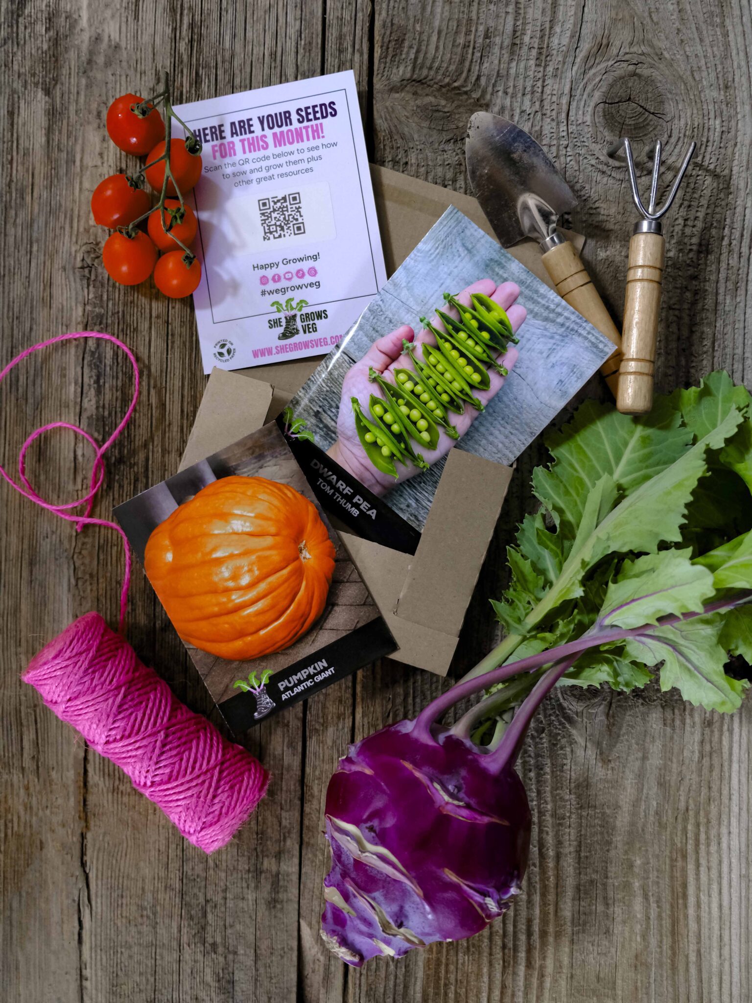 Buy Grow Buddies Kids Subscription - 2 Packs Seeds | She Grows Veg