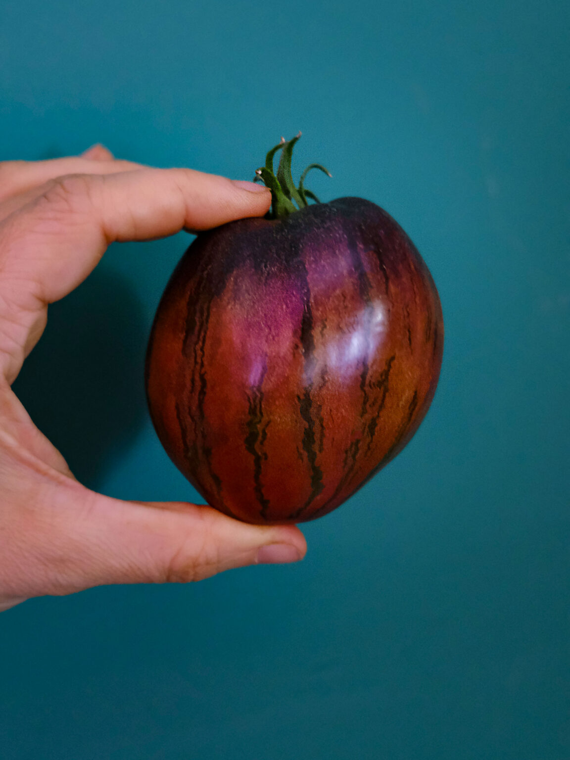 Buy Tomato Rebel Star Fighter Prime Seeds | She Grows Veg