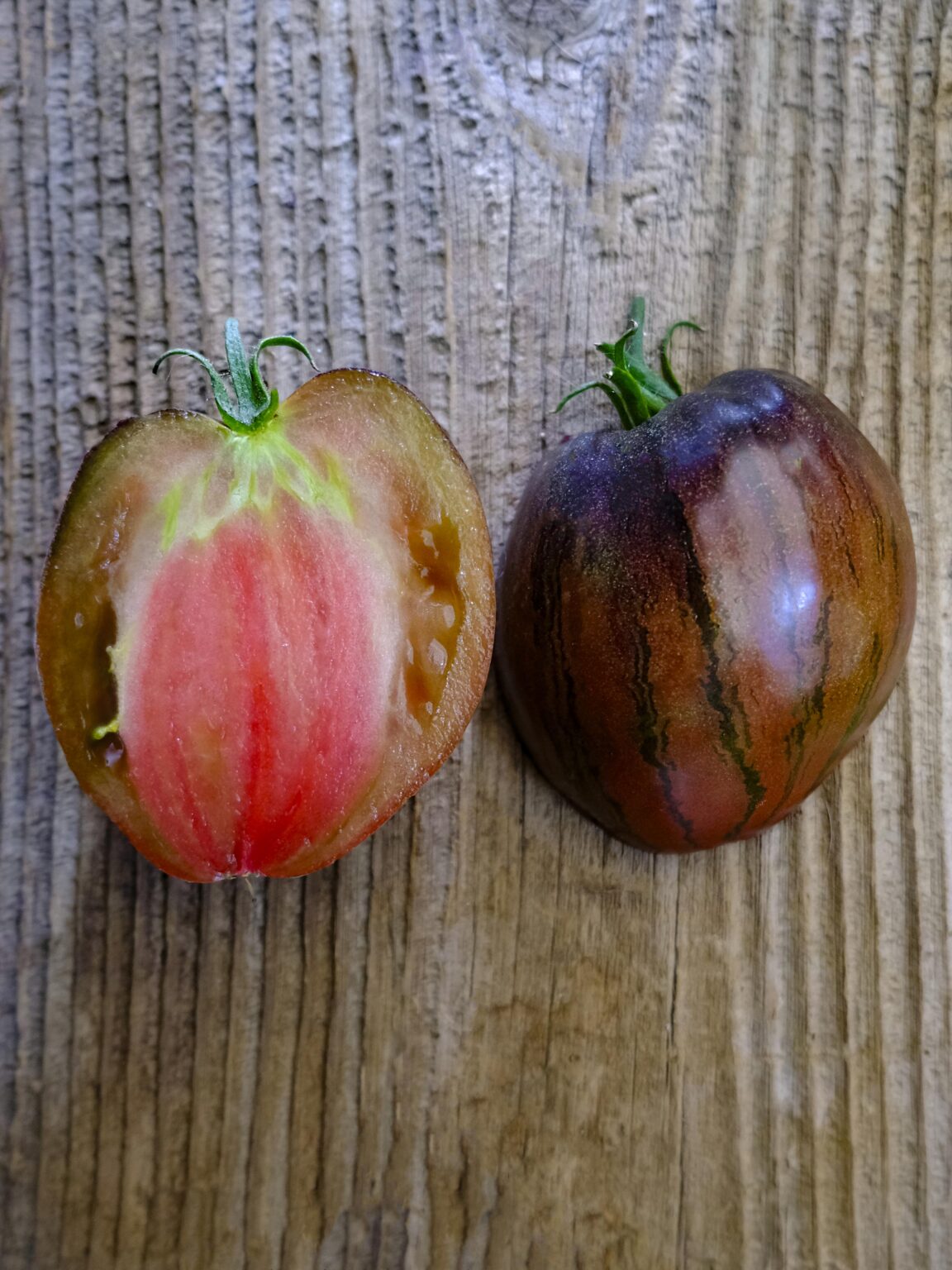 Buy Tomato Rebel Star Fighter Prime Seeds | She Grows Veg