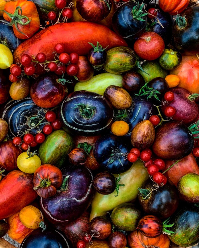 How to Prevent and Manage Blossom End Rot in Tomatoes and Peppers | She ...