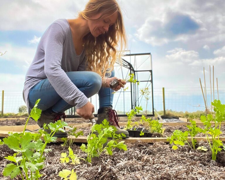 How to Manage Acidic or Alkaline Soil for Optimal Plant Growth | She ...