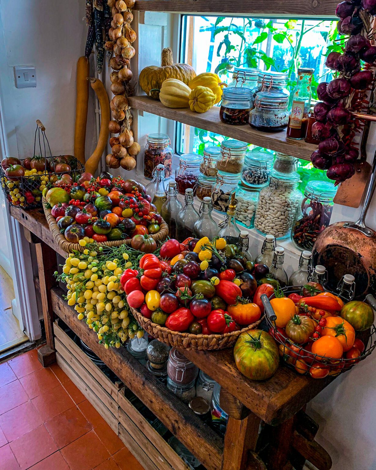 Small or Poor Yields: How Overcrowding, Nutrient Deficiencies, and Poor ...