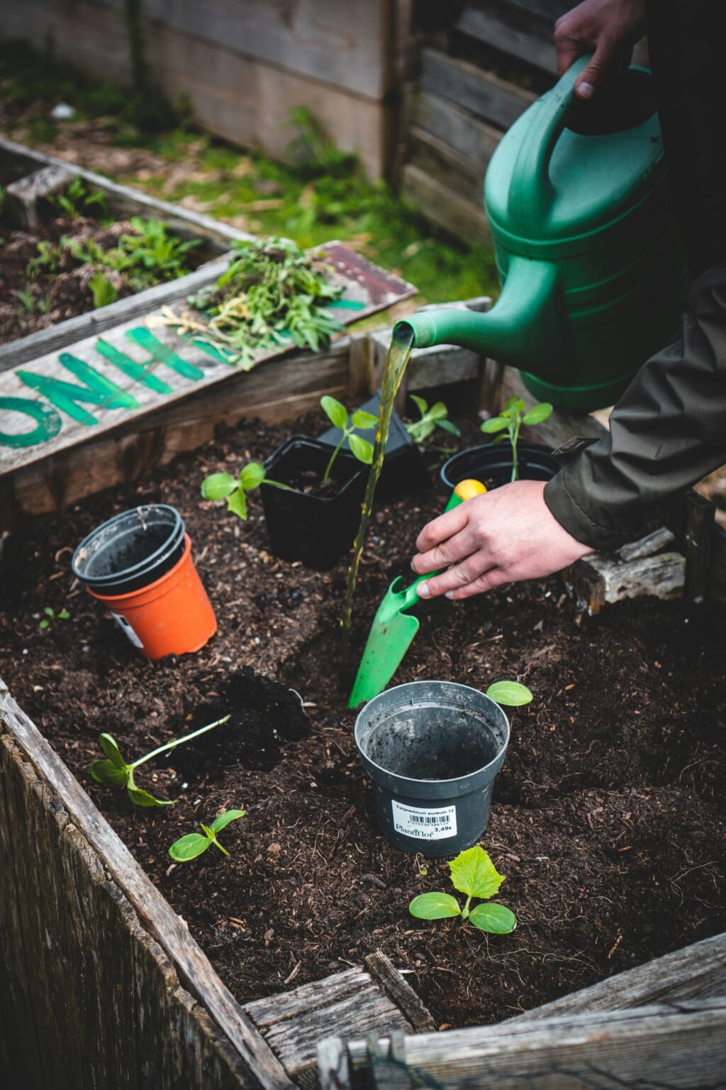 How to Deal with Moles and Protect Your Garden's Root Systems | She ...