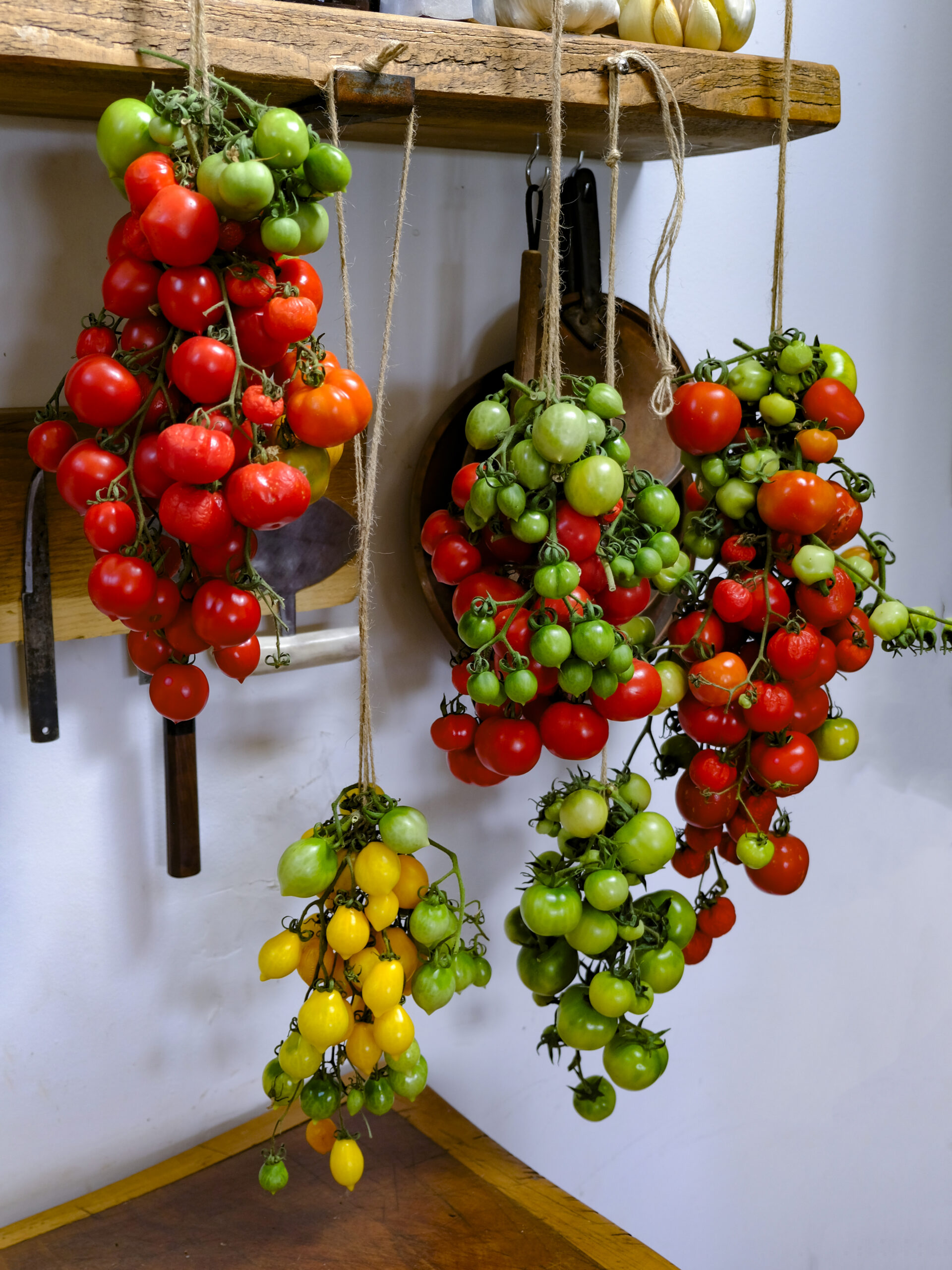 How to Hang Your Storage Tomatoes | She Grows Veg
