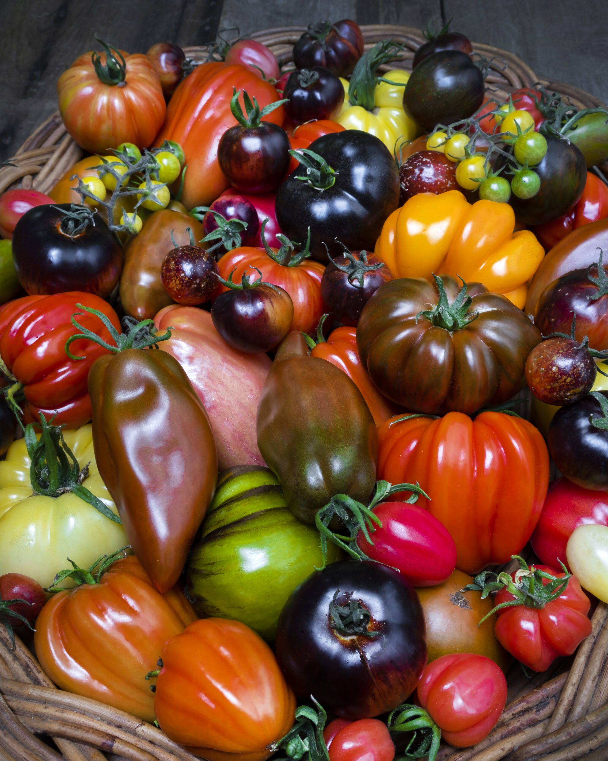 The Best Flavoured Tomato Varieties to Grow | She Grows Veg