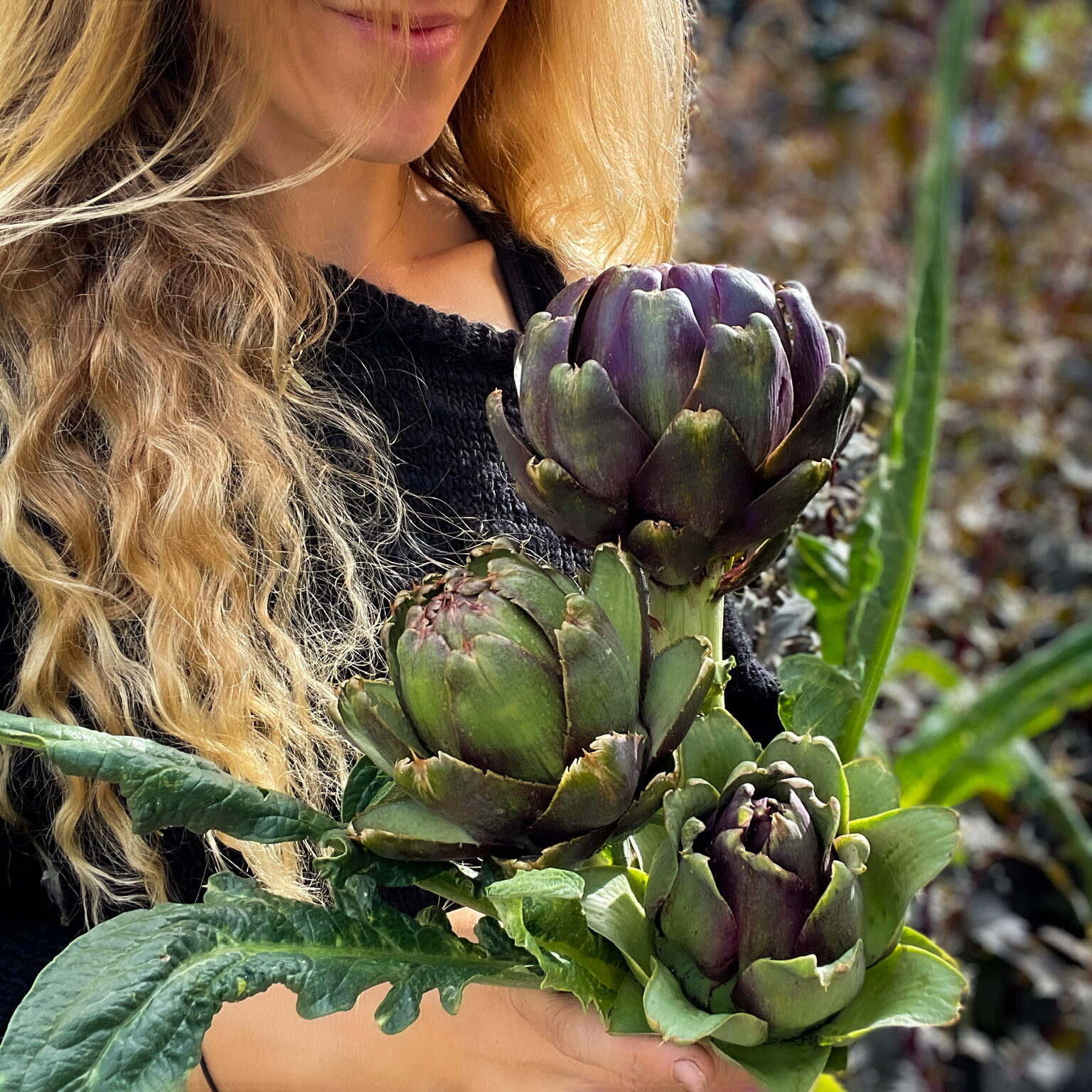What Vegetables To Sow In April | She Grows Veg