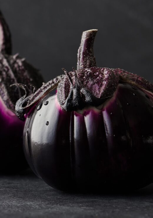 How to Sow and Grow Aubergines | She Grows Veg