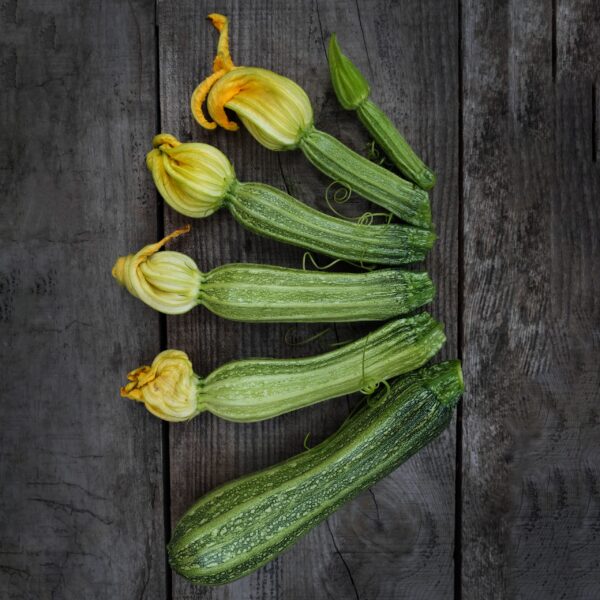 Sowing Calendar | She Grows Veg