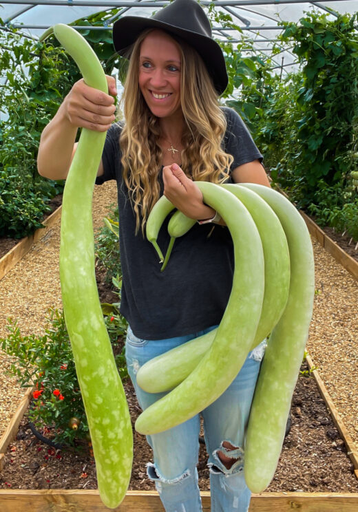 How to Sow and Grow Gourds | She Grows Veg