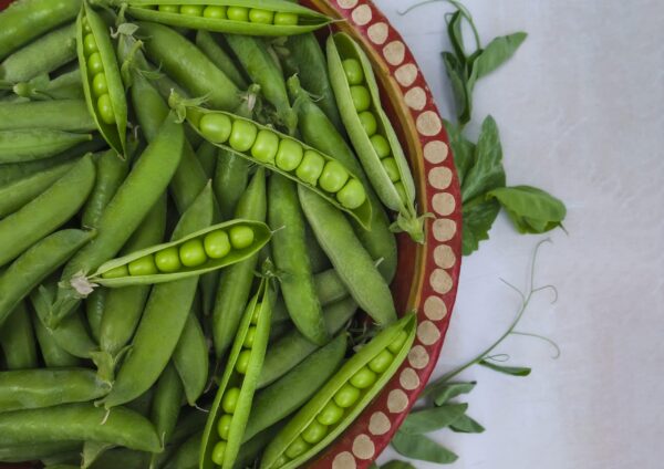 She Grows Veg | The Heirloom Seed Company