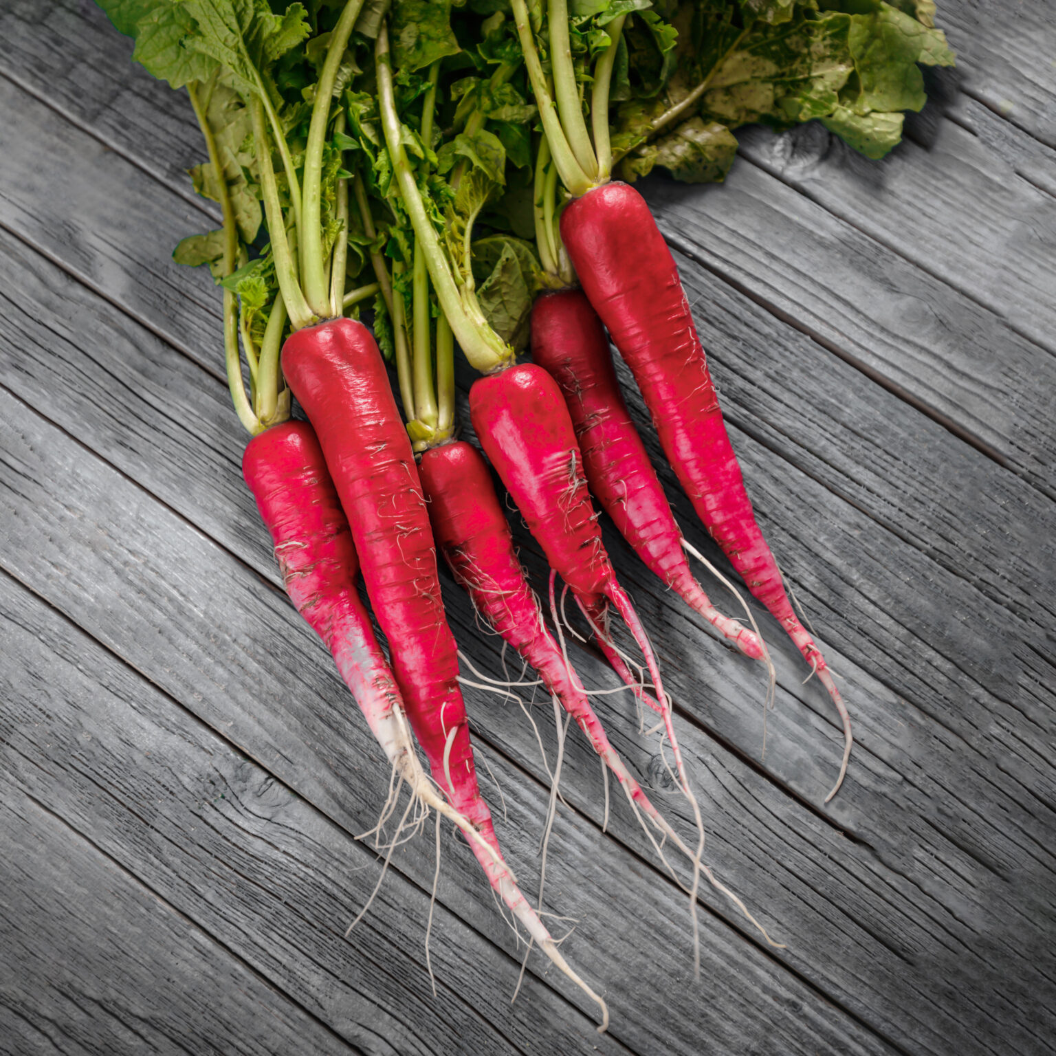 What to do with a Glut of Radishes | She Grows Veg