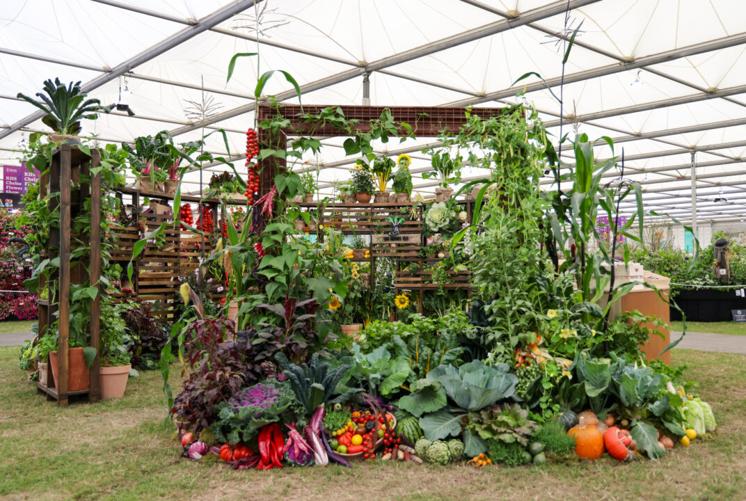 Chelsea Flower Show 2026 | She Grows Veg