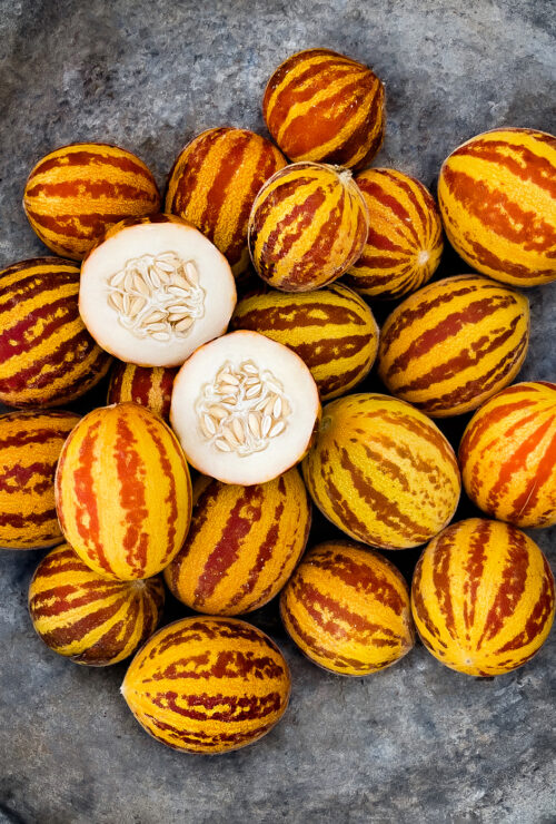 Buy Melon seeds | She Grows Veg