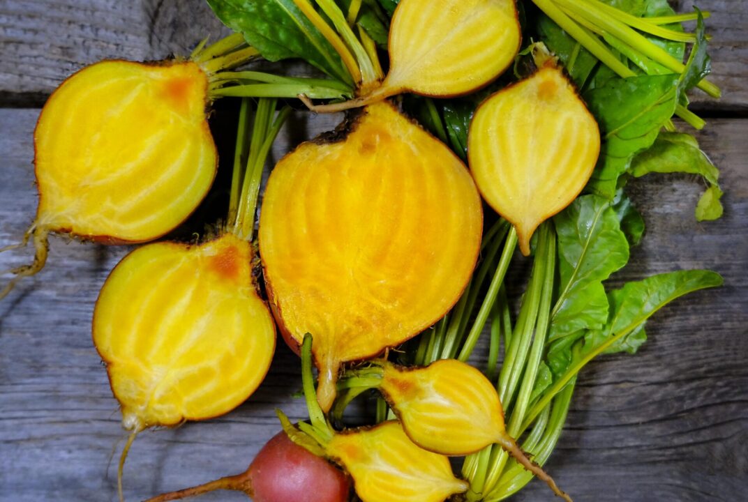 Buy Yellow Heirloom Seeds | Page 2 of 2 | She Grows Veg