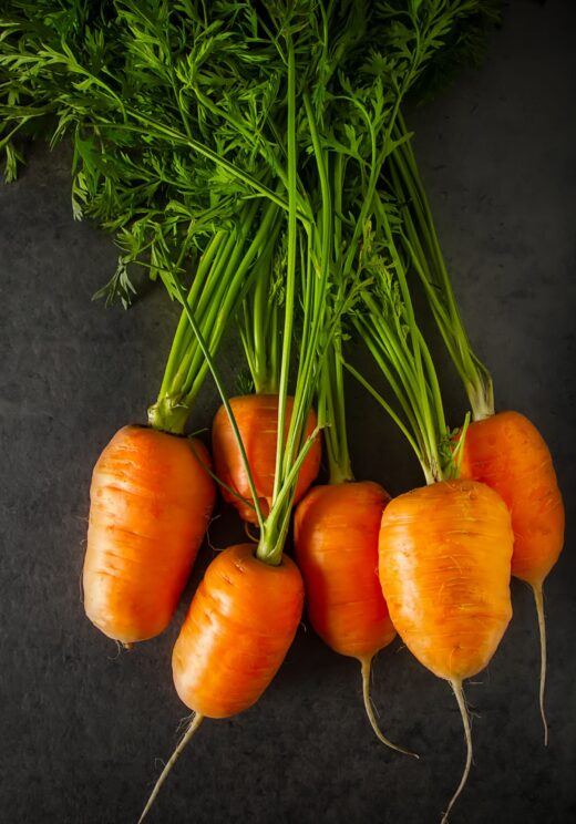 How to Sow and Grow Carrots | She Grows Veg