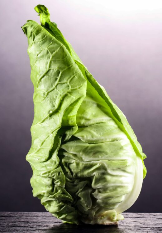 Buy Parsnip Hollow Crown Seeds | She Grows Veg