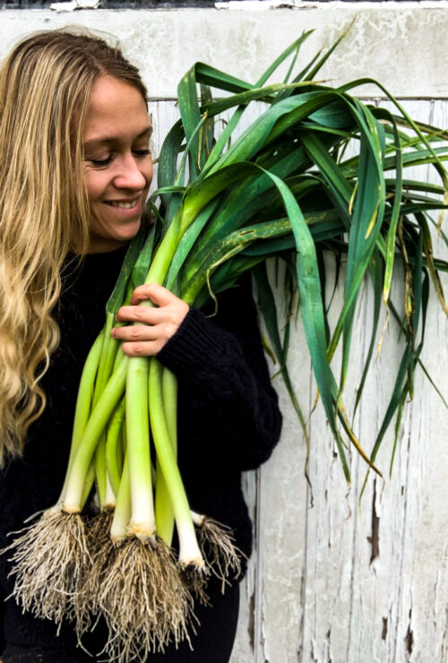 Our Story | She Grows Veg