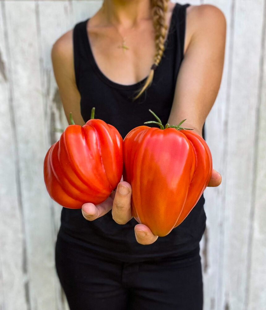 Our Story | She Grows Veg