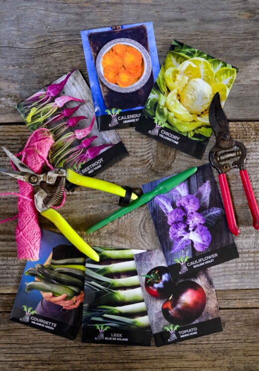 Grow Your Own Christmas Dinner Seed Bundle (with gift bag) | She Grows Veg