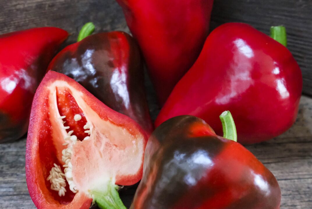 Buy Red Heirloom Seeds | She Grows Veg