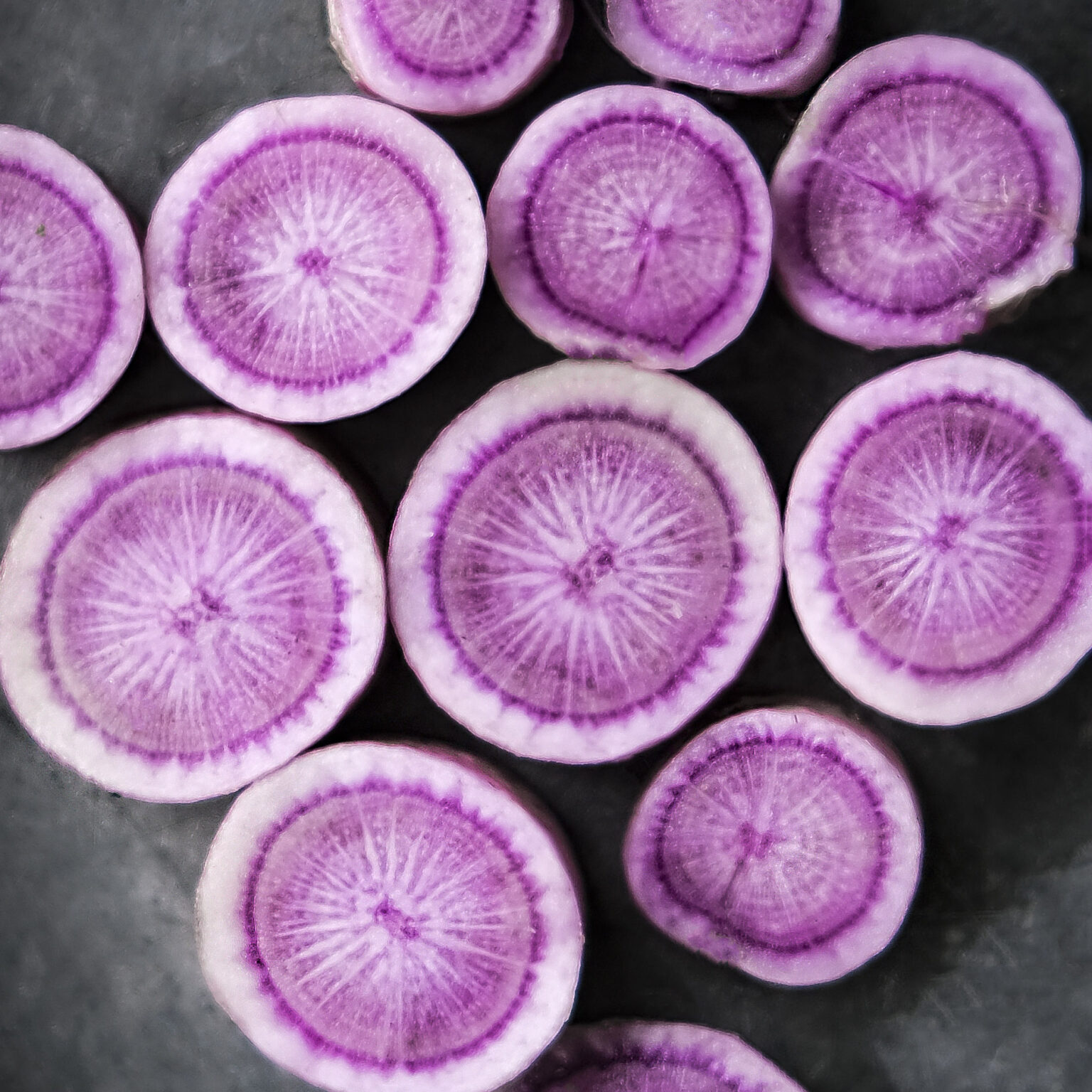 How to Store Root Vegetables | She Grows Veg