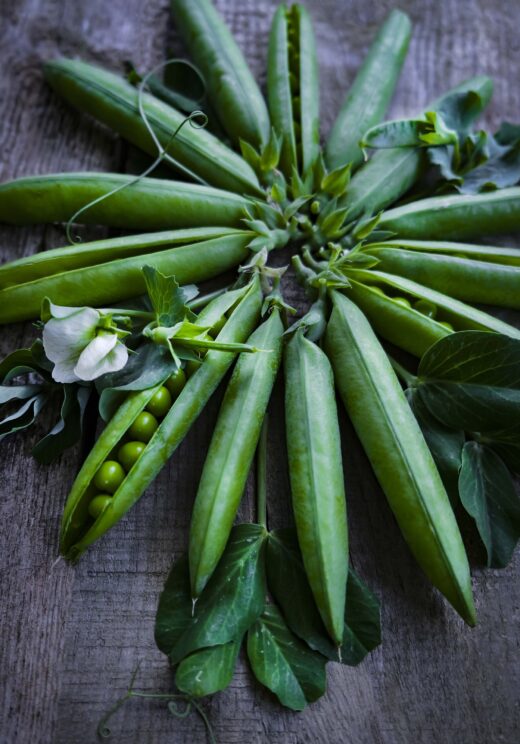 How to Sow and Grow Peas | She Grows Veg
