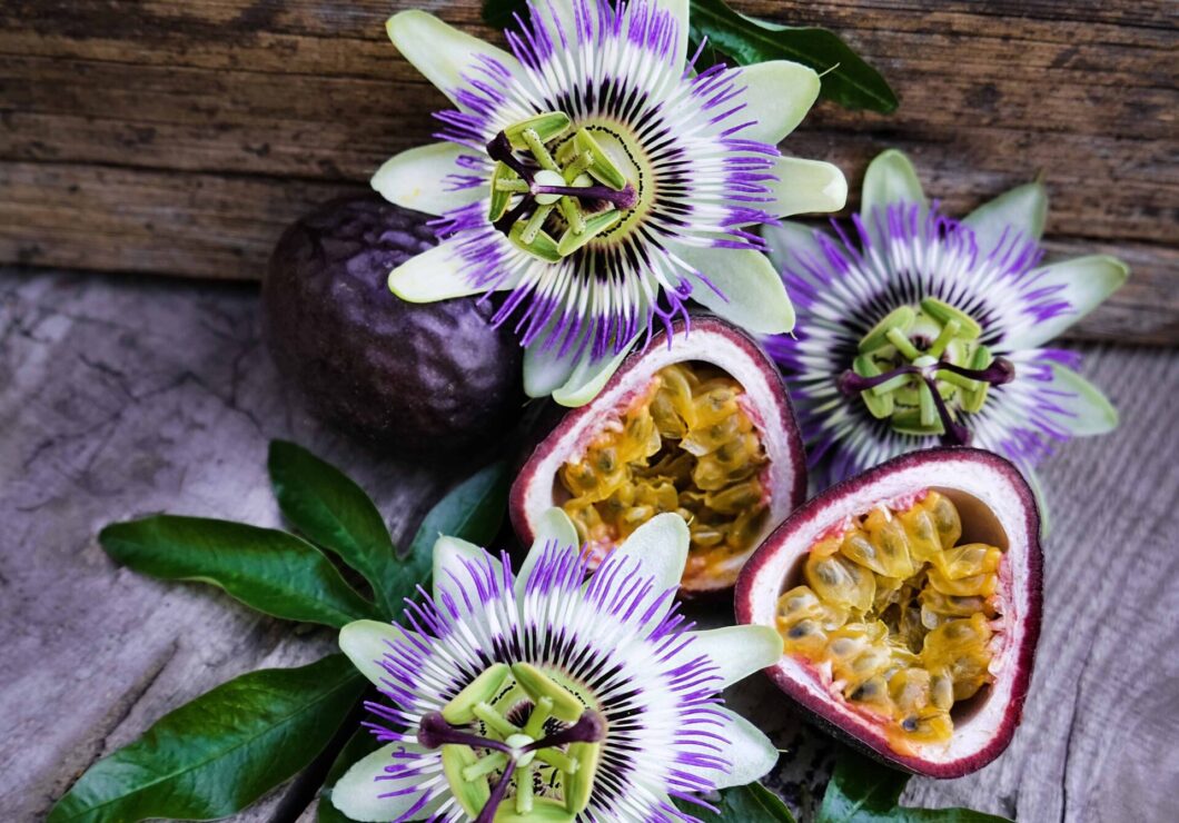 Buy Fruit & Berry Seeds | She Grows Veg