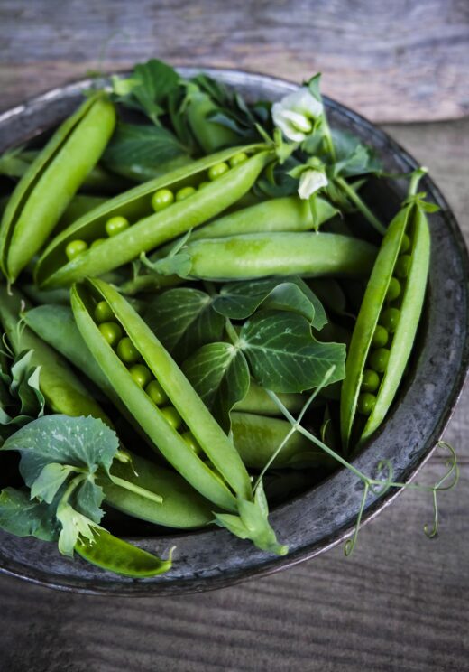 How to Sow and Grow Peas | She Grows Veg