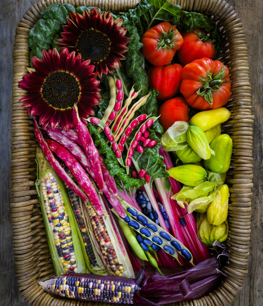 She Grows Veg | The Heirloom Seed Company