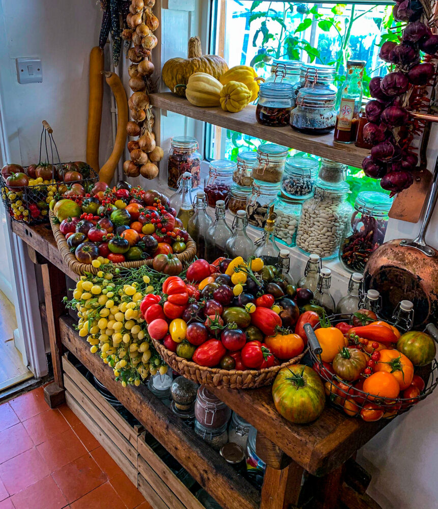 She Grows Veg | The Heirloom Seed Company