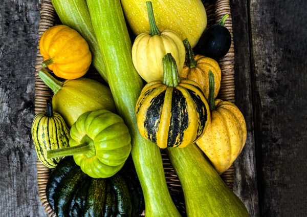 She Grows Veg | The Heirloom Seed Company