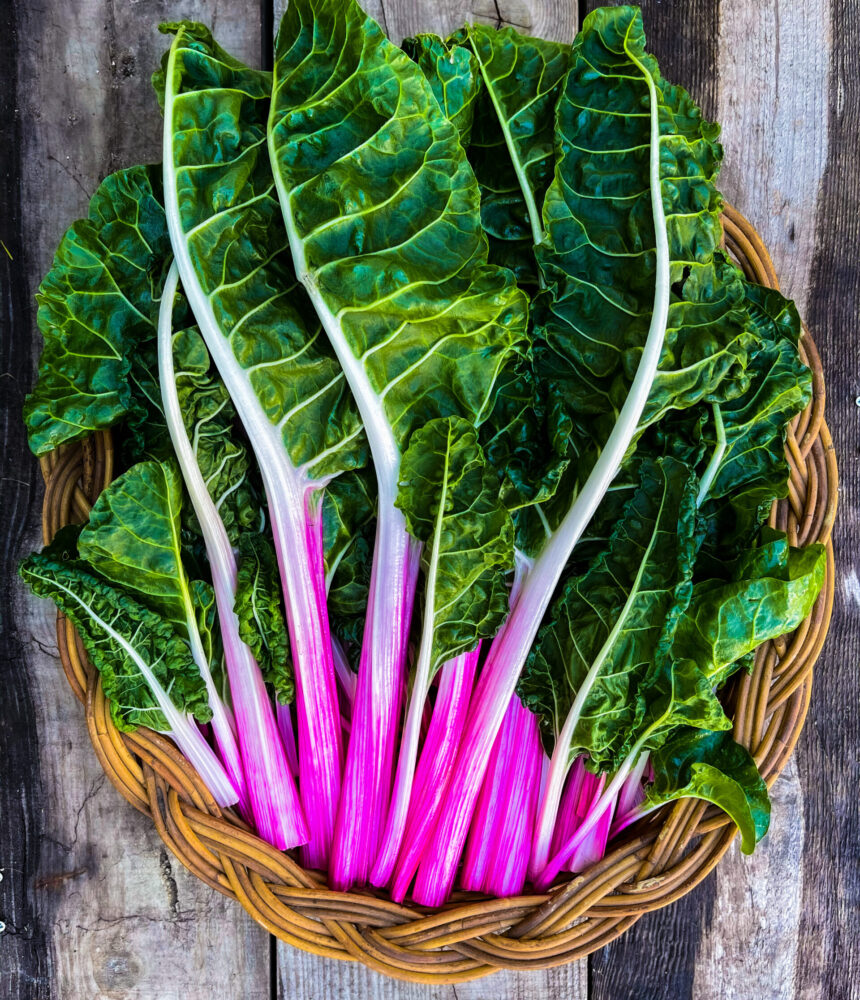 Our Story | She Grows Veg