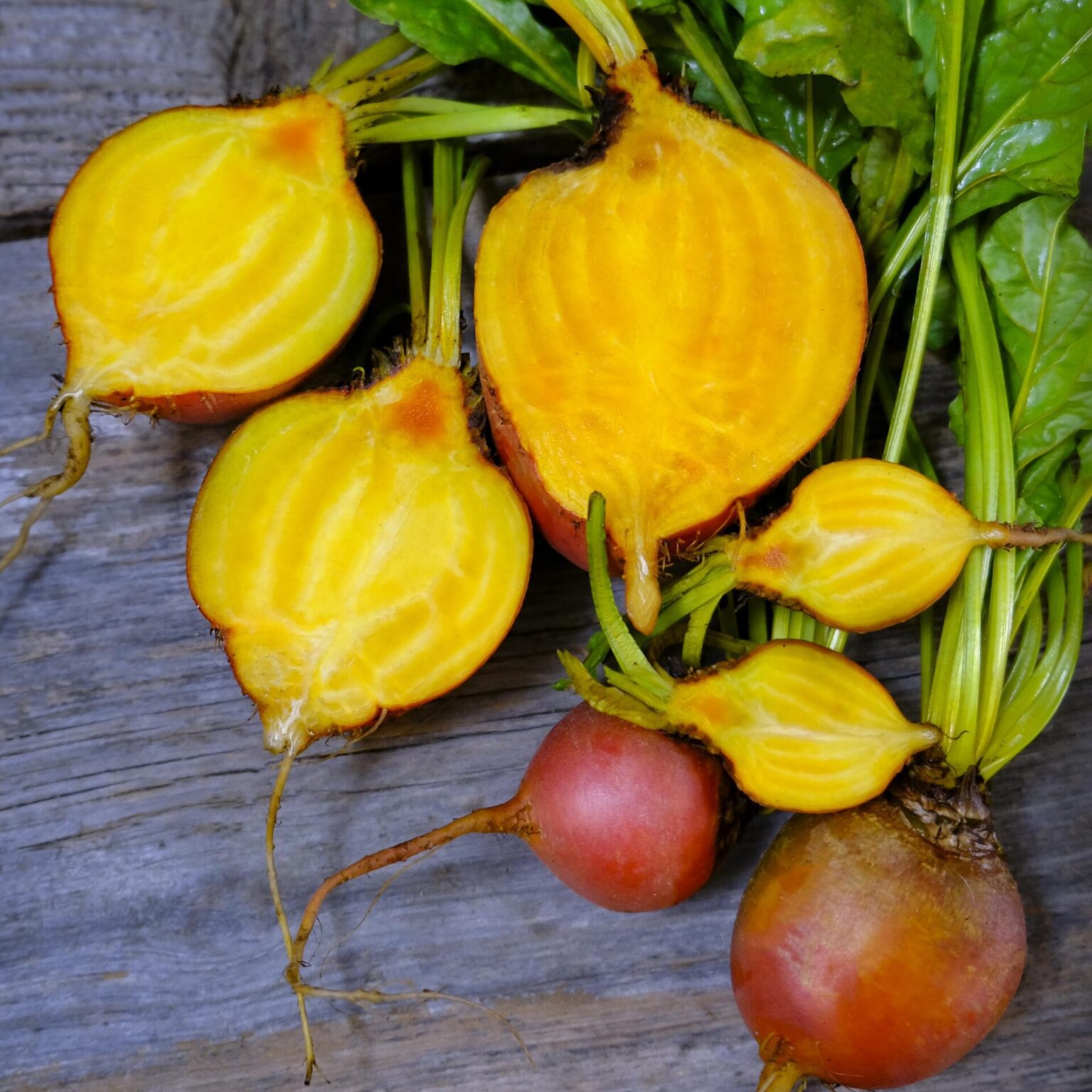 How to Store Root Vegetables | She Grows Veg