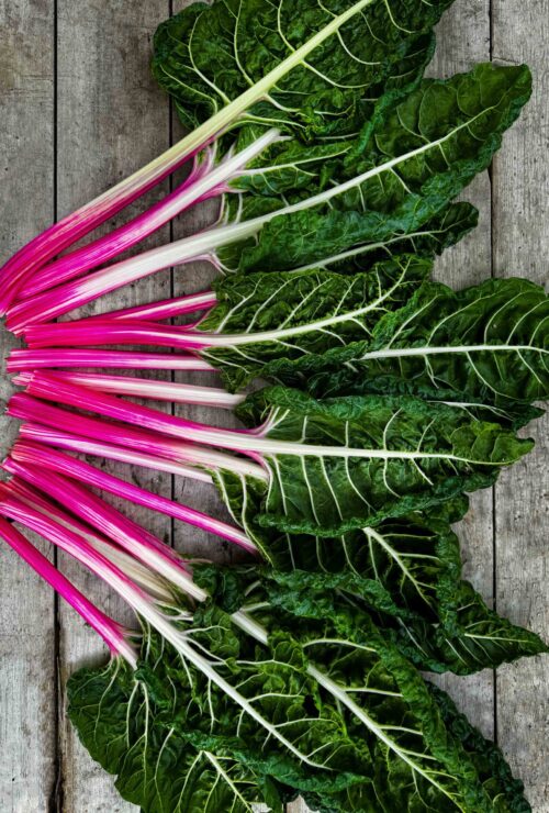 Buy Chard Seeds | She Grows Veg