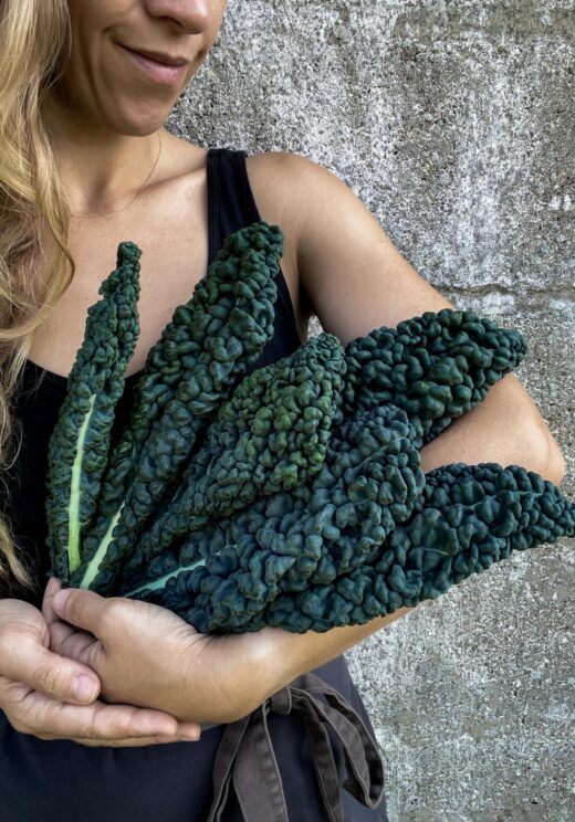 Buy Parsnip Hollow Crown Seeds | She Grows Veg